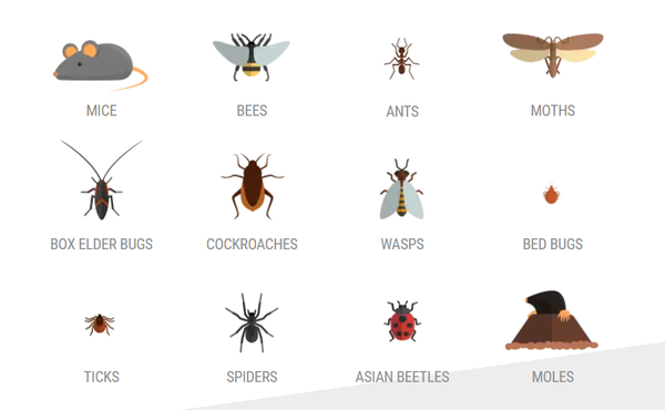 FENIX PEST CONTROL - Updated December 2025 - 12 Reviews - 3473 Dolphin ...