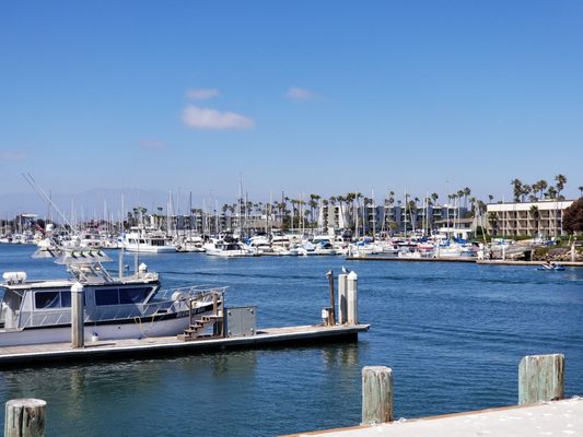 SILVER STRAND STATE BEACH - 94 Photos & 39 Reviews - 100-2500 Ocean Dr ...