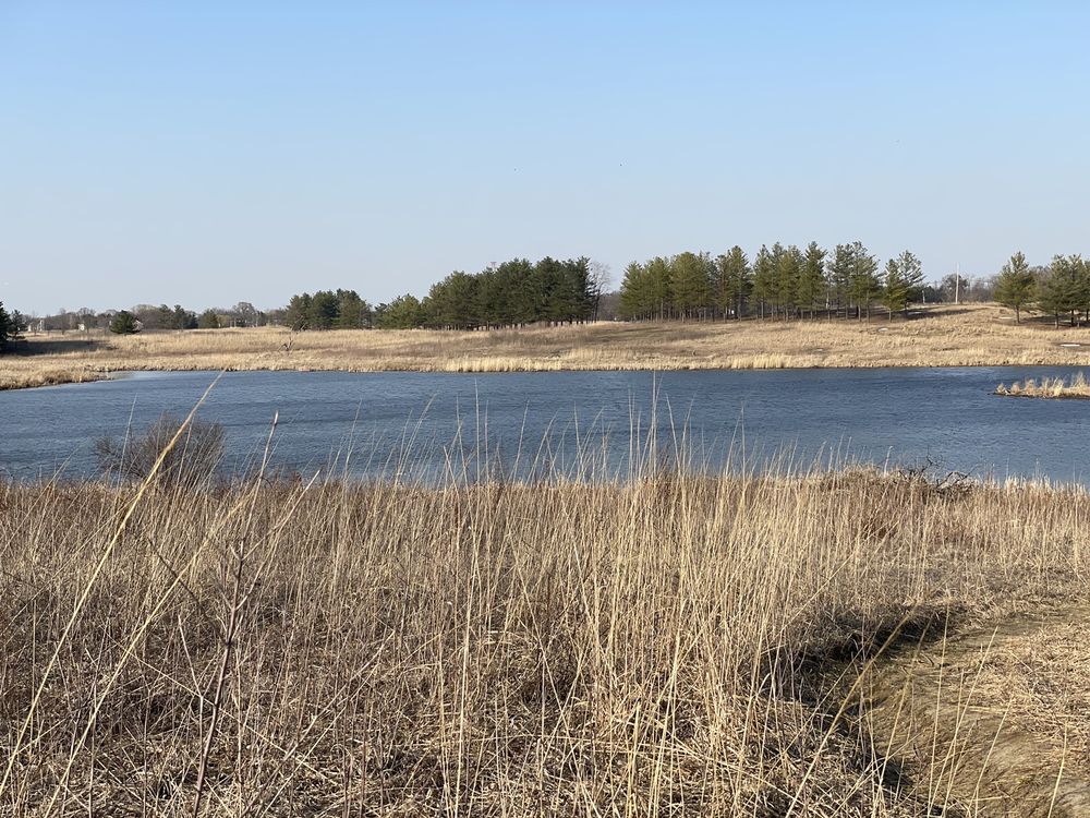 CUBA MARSH FOREST PRESERVE - Updated March 2025 - 46 Photos & 14 ...