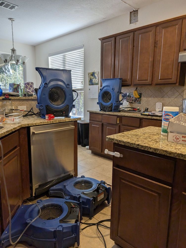 COIT CLEANING AND RESTORATION OF AUSTIN - Updated December 2025 - 61 ...