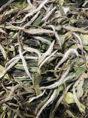 THE BEST TEA SHOP - Updated September 2025 - 21 Photos - 88 E Broadway ...