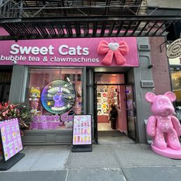 SWEET CATS CAFE - Updated June 2025 - 113 Photos & 27 Reviews - 21 E ...