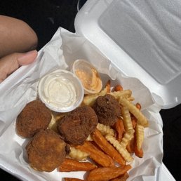 PLANT BAE - Updated October 2025 - 130 Photos & 131 Reviews - 175 Lee ...