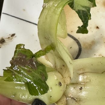 MORTON’S THE STEAKHOUSE - Updated February 2025 - 249 Photos & 286 ...