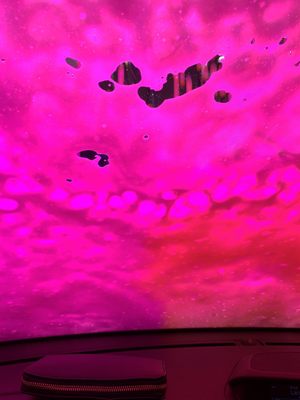 GO CAR WASH - METCALF - Updated November 2025 - 29 Photos & 15 Reviews ...