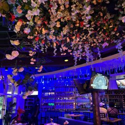 OCTOPUS KITCHEN - Updated December 2025 - 472 Photos & 289 Reviews ...