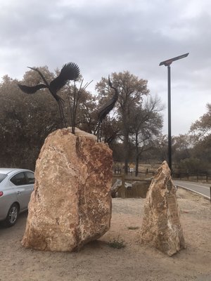 PASEO DEL BOSQUE TRAIL - Updated November 2024 - 117 Photos & 27 ...