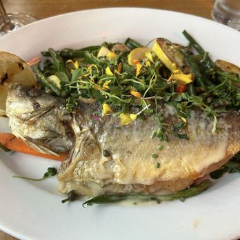 BARBARELLA RESTAURANT & BAR - Updated December 2024 - 1405 Photos ...