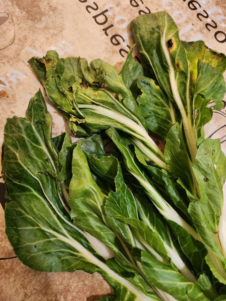 JONS MARKETPLACE - Updated April 2025 - 15 Photos & 47 Reviews - 3667 W ...