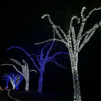 BULL RUN FESTIVAL OF LIGHTS - Updated January 2026 - 382 Photos & 138 ...