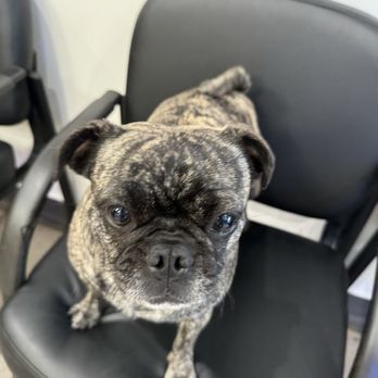 SLATON VETERINARY HOSPITAL - Updated August 2025 - 98 Photos & 179 ...