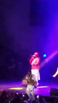 CHESAPEAKE EMPLOYERS INSURANCE ARENA - 62 Photos - Stadiums & Arenas ...