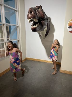 LAFAYETTE SCIENCE MUSEUM - Updated October 2025 - 119 Photos & 12 ...