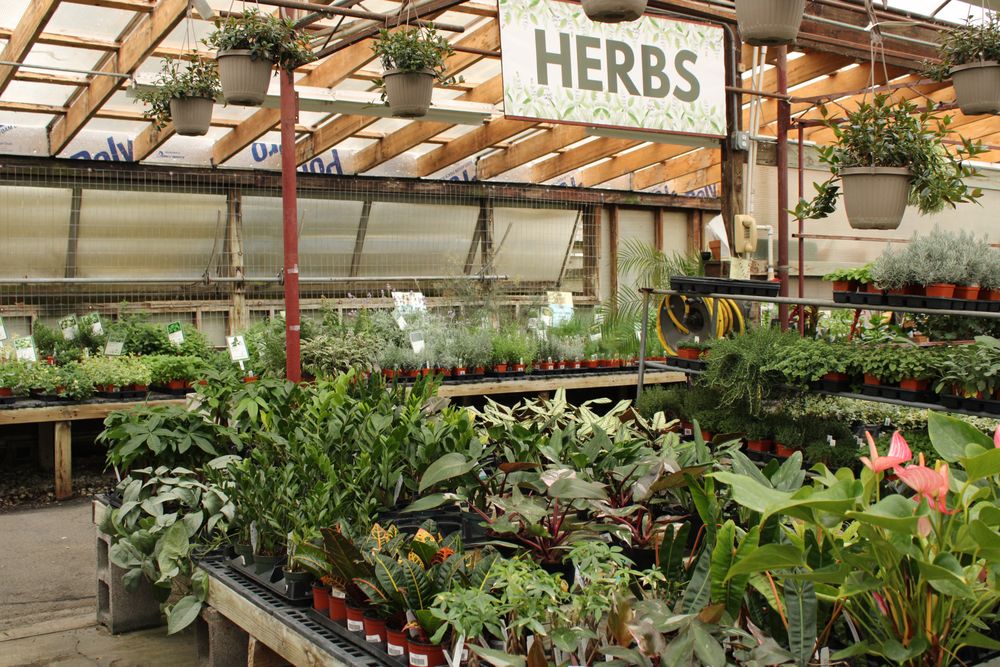 ASHCOMBE FARM AND GREENHOUSES - Updated December 2025 - 51 Photos & 31 ...