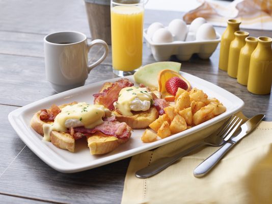 EGGSMART - Updated June 2025 - 104 Photos & 40 Reviews - 5990 16th Avenue, Markham, Ontario ...