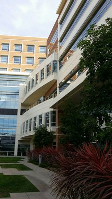 SCRIPPS CLINIC JOHN R. ANDERSON V MEDICAL PAVILION - Updated December ...