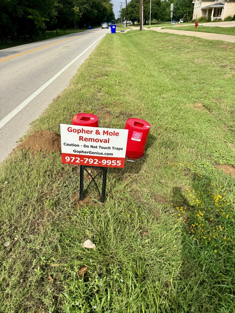 GOPHER GENIUS - Updated October 2025 - 19 Photos - Colleyville, Texas ...