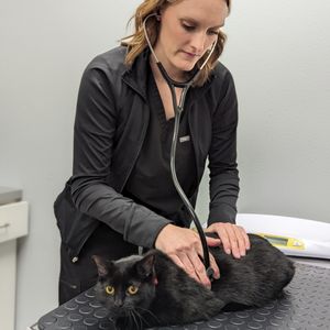 SIOUXLAND ANIMAL HOSPITAL - Updated December 2025 - 10 Reviews - 2030 ...