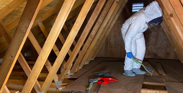 FOWLER AND SONS TERMITE & PEST CONTROL - Updated December 2025 - 11 ...