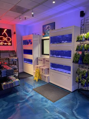 THE FISH ROOM - Updated December 2025 - 23 Photos & 40 Reviews - 5205 ...