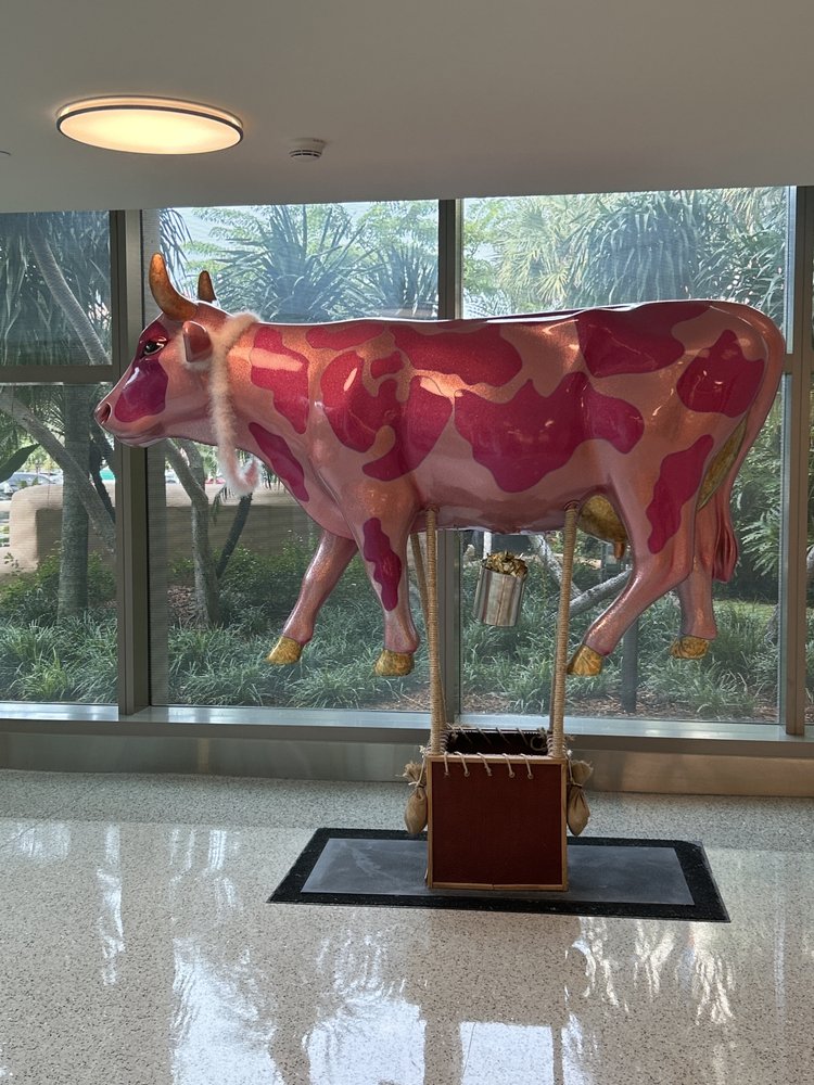 BAPTIST HEALTH MIAMI CANCER INSTITUTE - Updated October 2025 - 49 ...