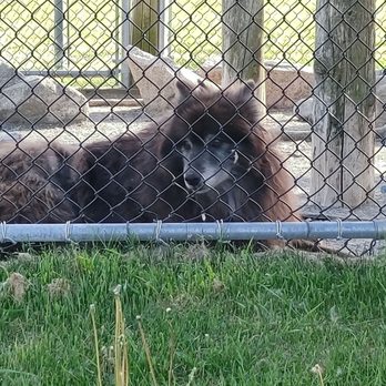 KISMA PRESERVE - Updated November 2025 - 22 Reviews & 30 Photos - 446 ...