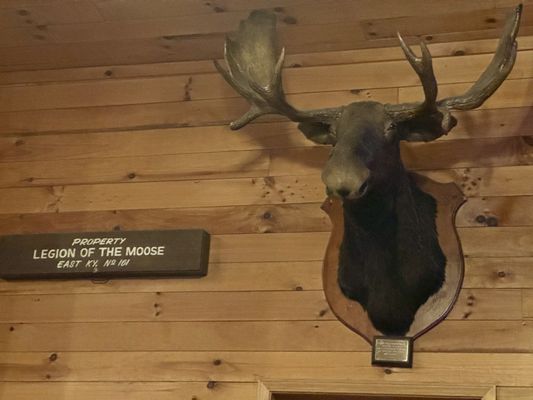 GRAYSON COUNTY MOOSE LODGE - Updated July 2025 - 289 Alex Dr, Falls of ...