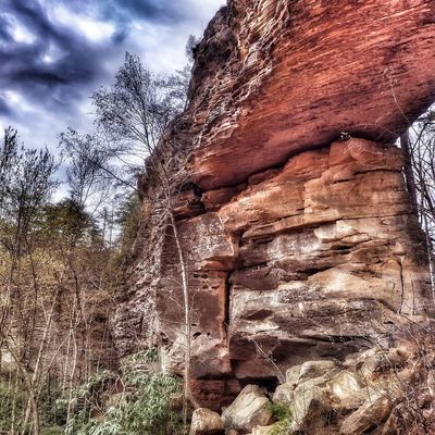NATURAL BRIDGE STATE PARK - Updated April 2025 - 586 Photos & 77 ...