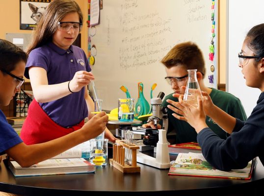 PARK MAITLAND SCHOOL - Updated December 2024 - 12 Photos & 12 Reviews ...