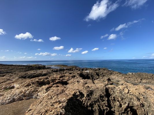 ZABLAN - Updated January 2026 - 39 Photos & 14 Reviews - 89-49 Laumania ...