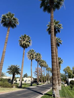 PHOENIX COUNTRY CLUB - Updated December 2025 - 17 Photos & 23 Reviews ...