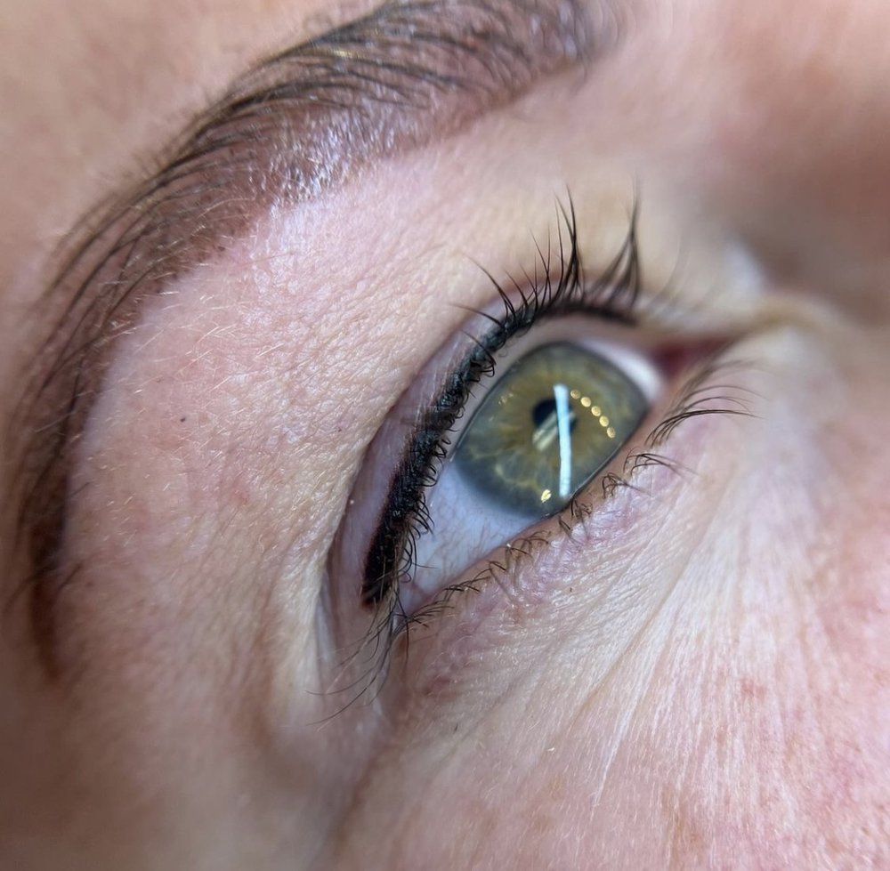 THE IBROW - Updated November 2024 - 18 Photos - 6841 Cermak Rd, Berwyn ...