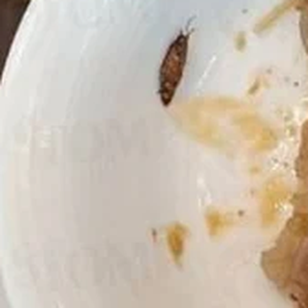 SPEAR’S RESTAURANT & PIE SHOP - Updated August 2025 - 68 Photos & 69 ...