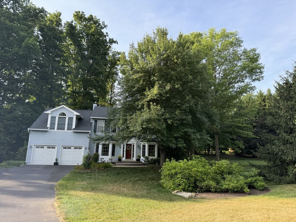 CASTILLO TREE SERVICE - Updated July 2025 - Request a Quote - 27 Photos ...