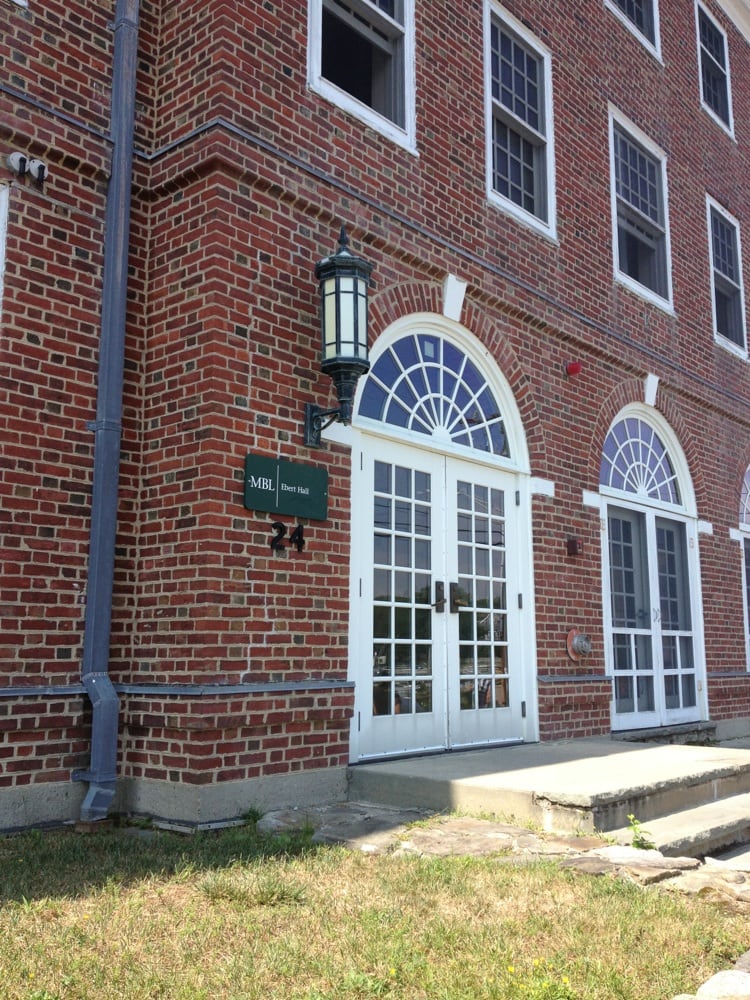 MARINE BIOLOGICAL LABORATORY - Updated June 2024 - 7 Marine Biological ...