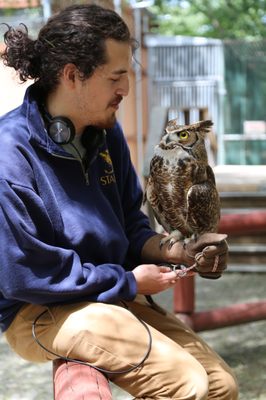 CALIFORNIA RAPTOR CENTER - Updated October 2025 - 58 Photos & 23 ...