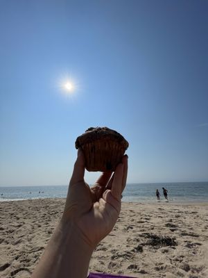 BLUE SHUTTERS TOWN BEACH - Updated September 2025 - 66 Photos & 25 ...