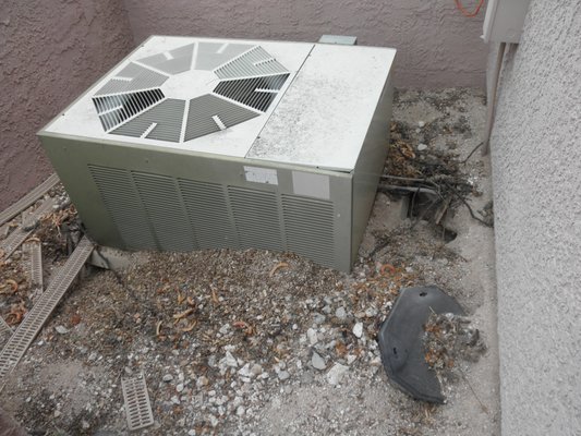 MR PACK RAT - Updated December 2025 - 30 Photos & 30 Reviews - Tucson ...