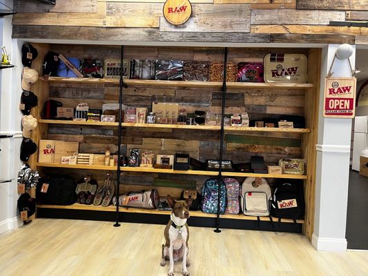 COSMOS SMOKE SHOP - Updated December 2025 - 32 Photos - 8351 FL 54, New ...