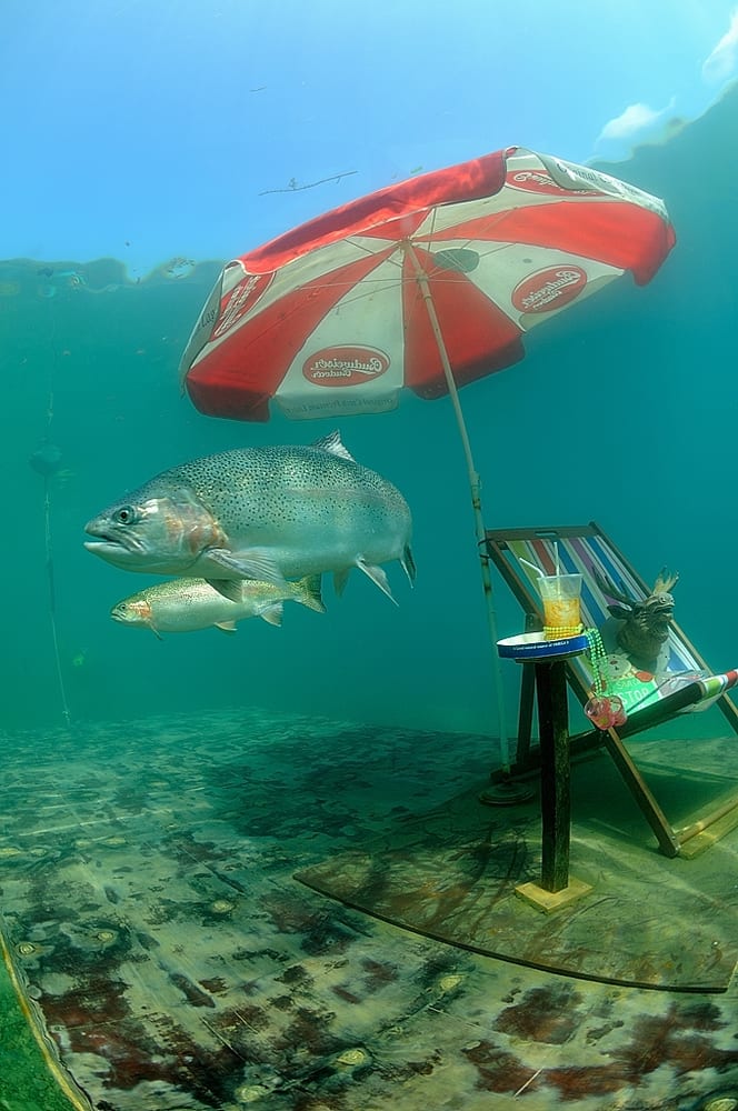 CAPERNWRAY DIVING & LEISURE - Capernwray Road, Carnforth, Lancashire ...