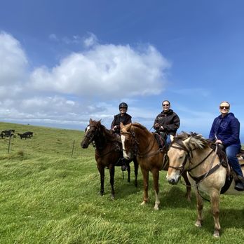NA’ALAPA STABLES - Updated June 2024 - 189 Photos & 105 Reviews - 59 ...