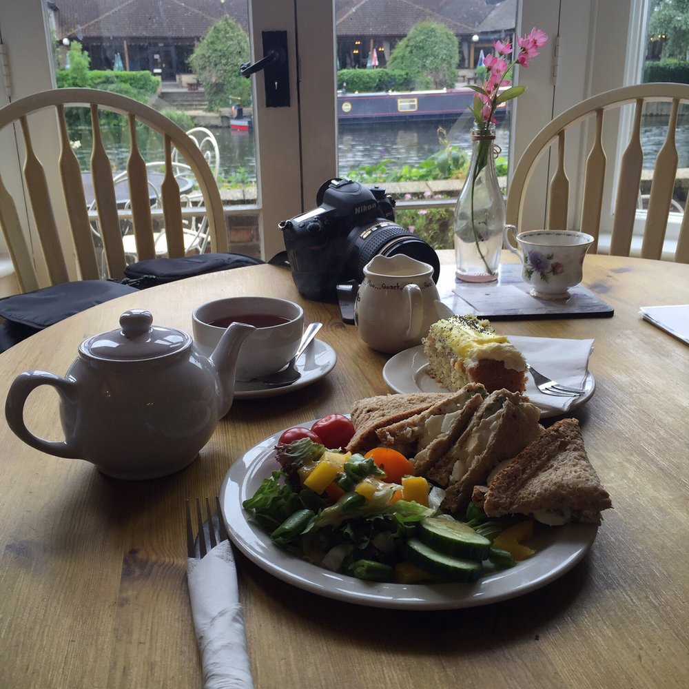 Curry Garden Earith | Fasci Garden