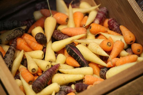 GORDON RIGGS GARDEN CENTRE - Updated September 2025 - 35 Photos ...