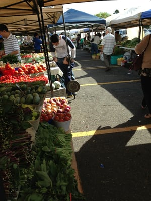 FROGTOWN FARM - Updated July 2025 - 941 Lafond Ave, Saint Paul ...