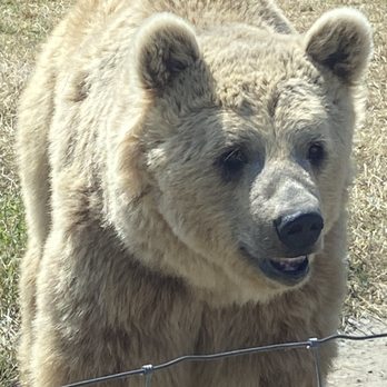 OLYMPIC GAME FARM - Updated September 2024 - 845 Photos & 363 Reviews ...