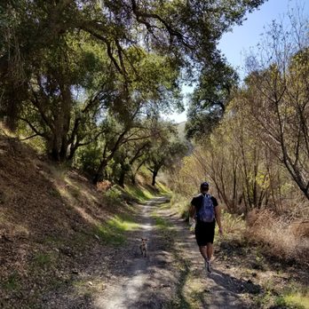 CHEESEBORO CANYON TRAIL - Updated November 2025 - 86 Photos & 24 ...