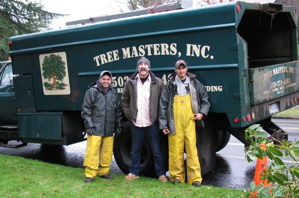 TREE MASTERS - Updated December 2025 - 112 Photos & 45 Reviews - 5100 ...