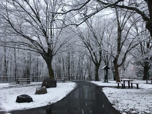 BEAVER BROOK RESERVATION - Updated May 2024 - 59 Photos & 46 Reviews ...