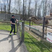 HOVATTERS WILDLIFE ZOO - 83 Photos & 16 Reviews - Zoos - 291 Wagner Ln ...