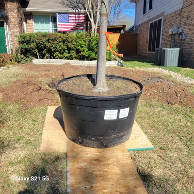 TREELAND NURSERY - Updated September 2025 - 54 Photos & 74 Reviews ...